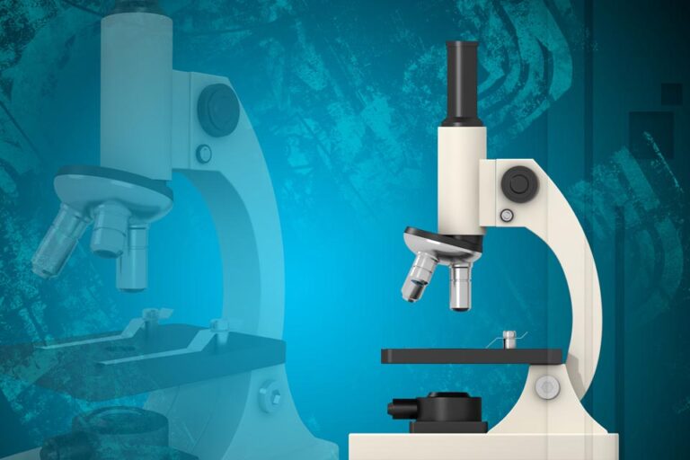 Micronutrient Testing - Innovation Medical